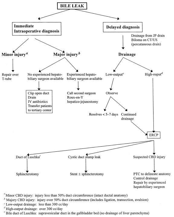 gallbladder triangle name