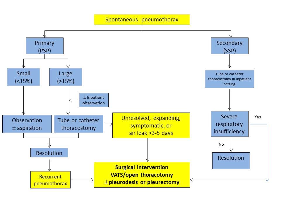 pneumothorax guidelines